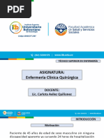 Nanda Nic Noc | PDF | Dolor | Cerebro