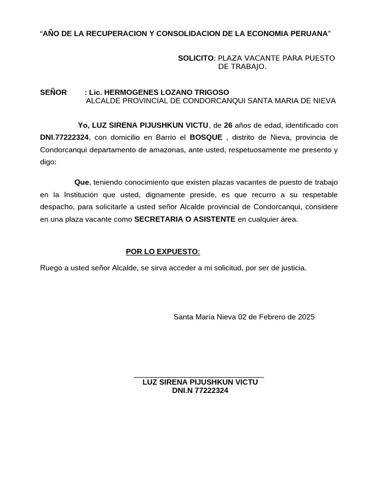 Solicitud de Trabajo Luz | PDF