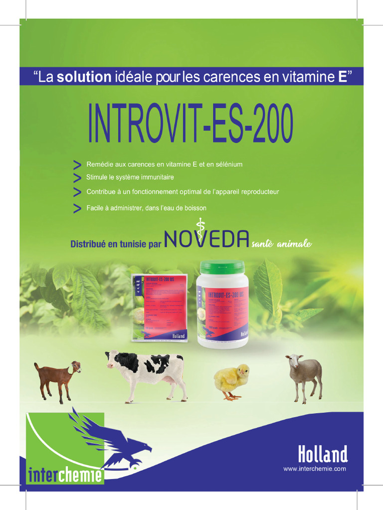 Introvit ES 1 1 | PDF