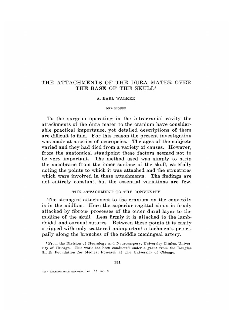 Walker Dura Attachments | PDF | Human Head And Neck | Skull