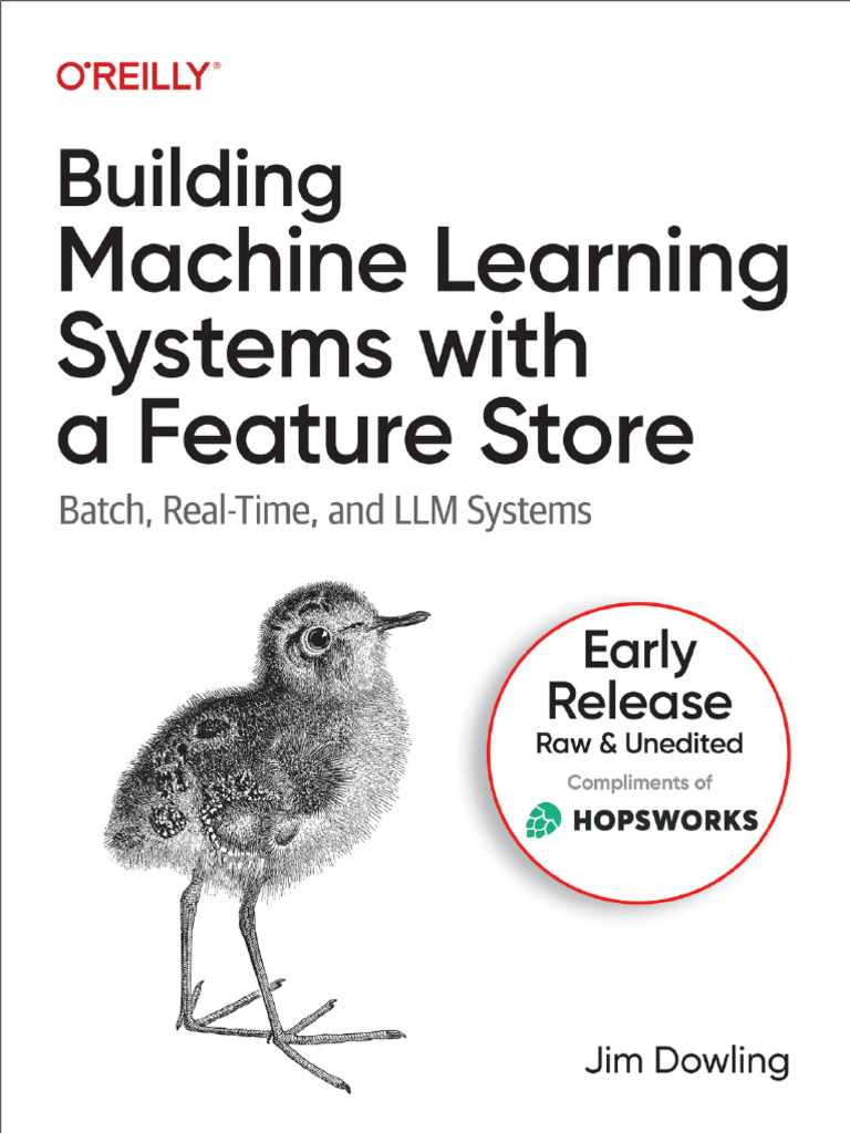 Building Machine Learning Systems With A Feature Store Batch, Real-Time, and LLM Systems Early ...