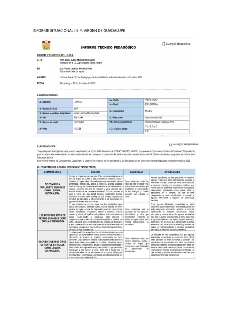 Informe Situacional I | PDF