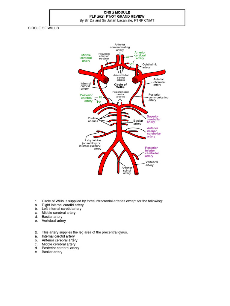 CNS 2 Module | PDF | Spinal Cord | Human Anatomy