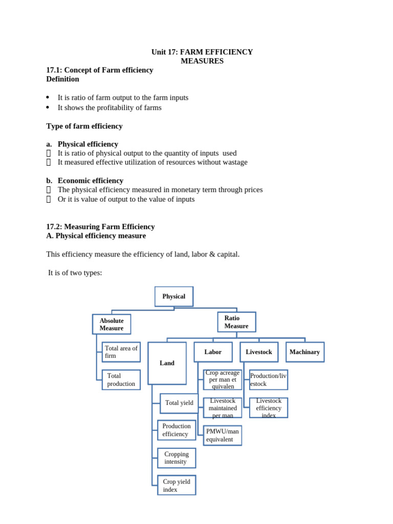 Farm Efficiency Measurement Techniques | PDF | Working Capital | Debt