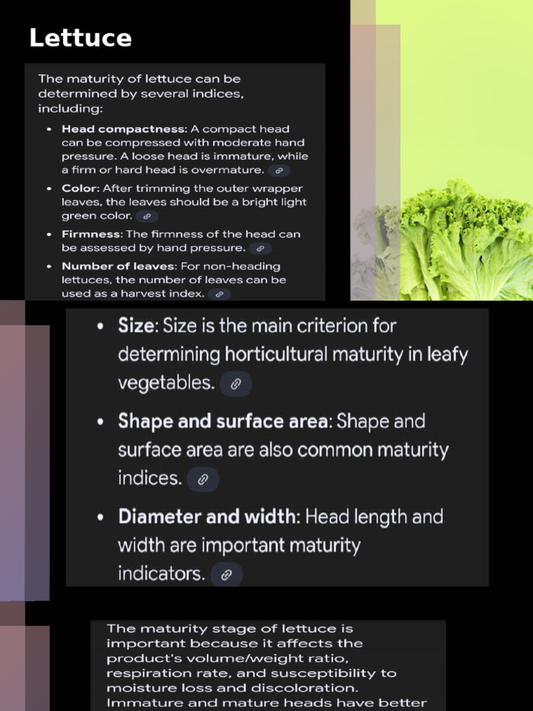 Lettuce | PDF