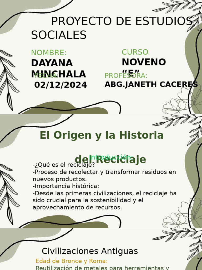 Proyecto de Estudios Sociales | PDF