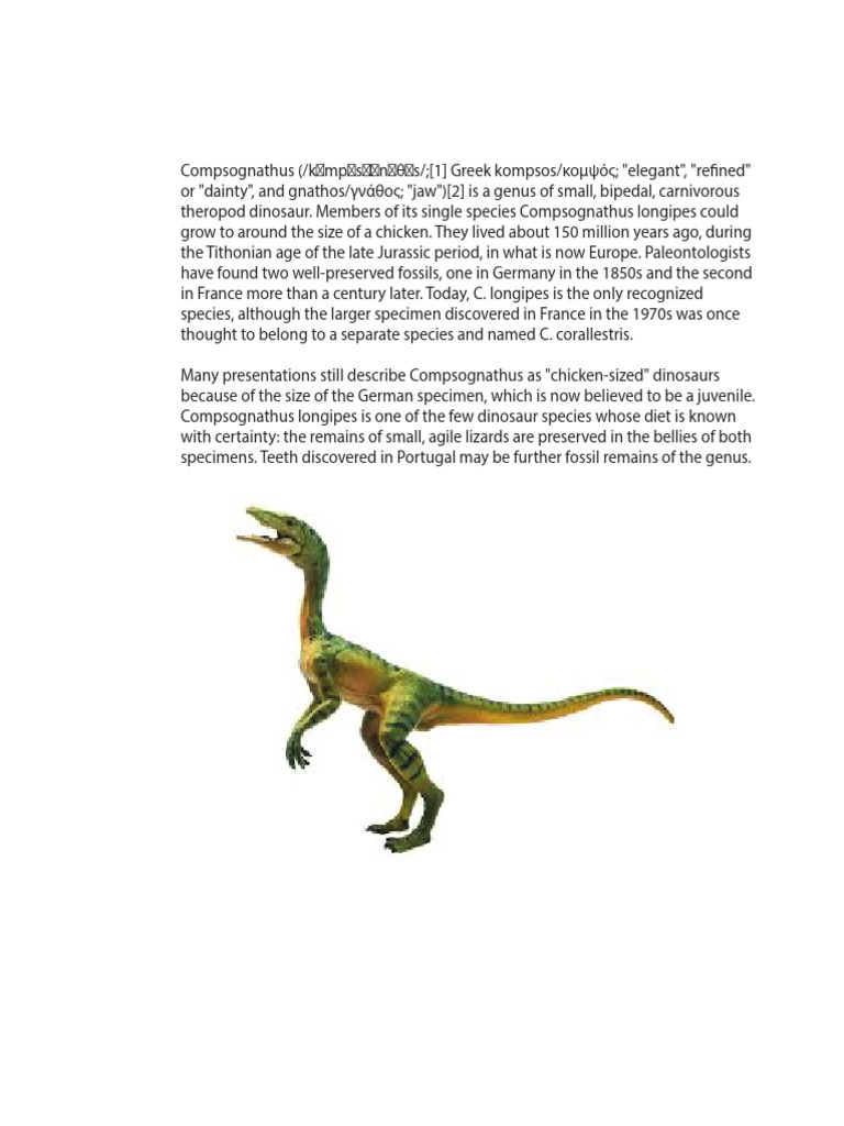 Compsognathus | PDF