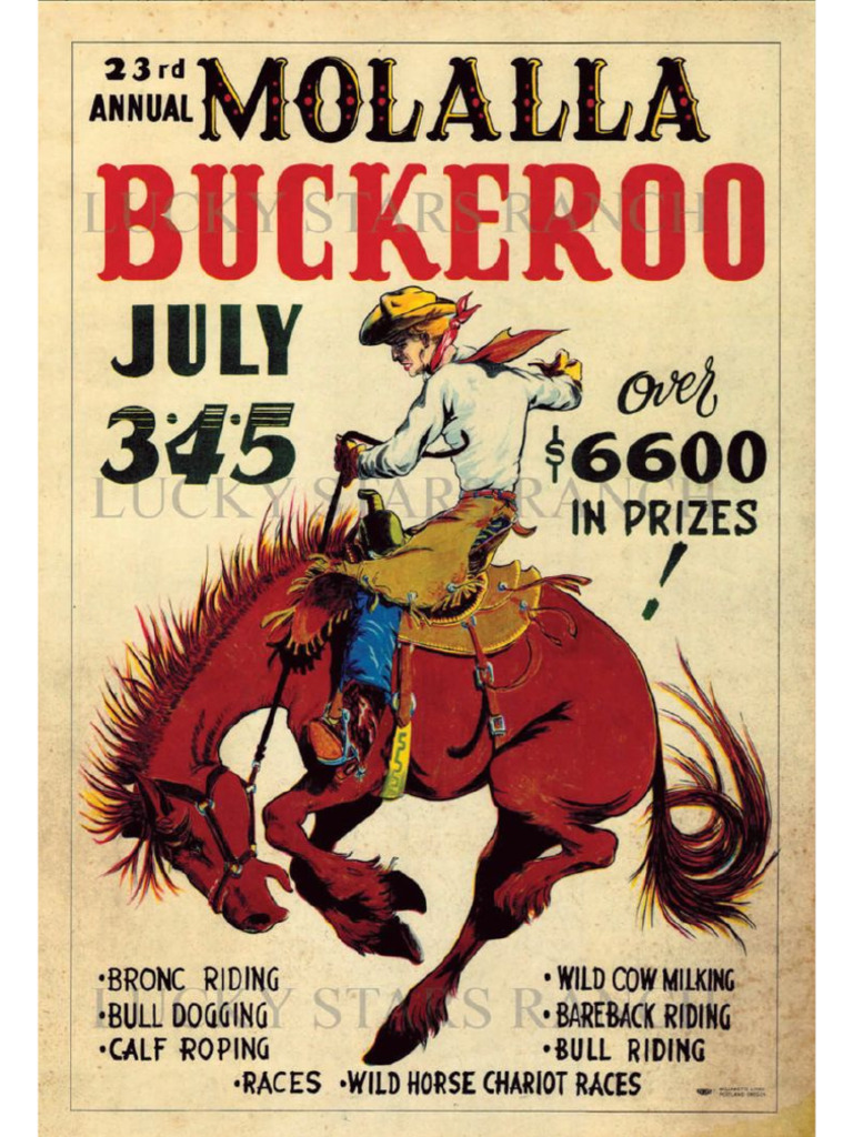 Poster Vaquero | PDF