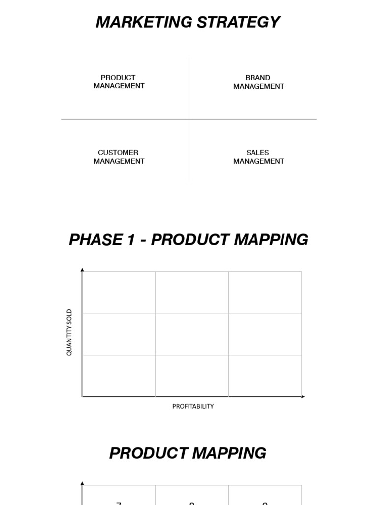 Phase 1 - Marketing Strategy | PDF