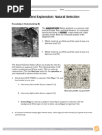Peppered Moths Natural Selection Game | PDF