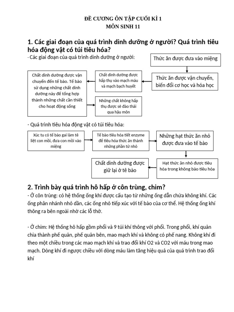ĐỀ-CƯƠNG-ÔN-TẬP-CK1 | PDF