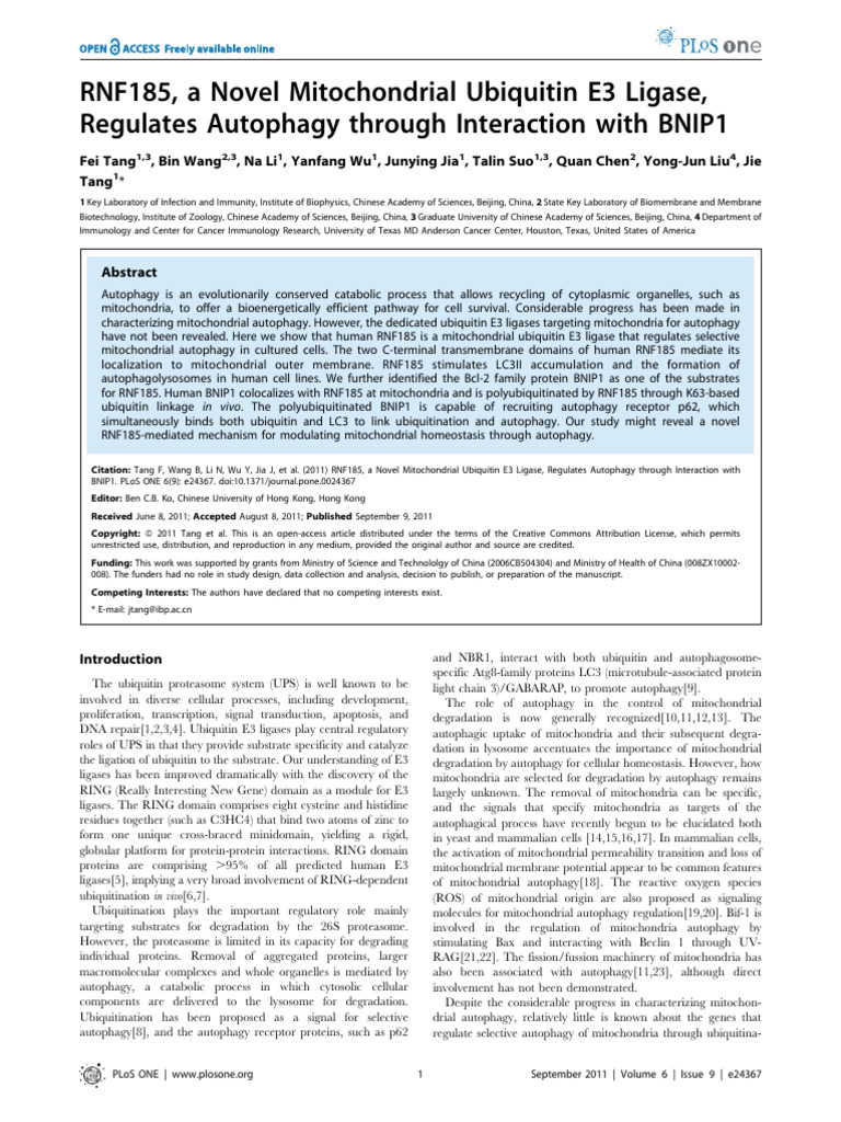 RNF185, a novel mitochondrial ubiquitin E3 ligase, regulates autophagy ...