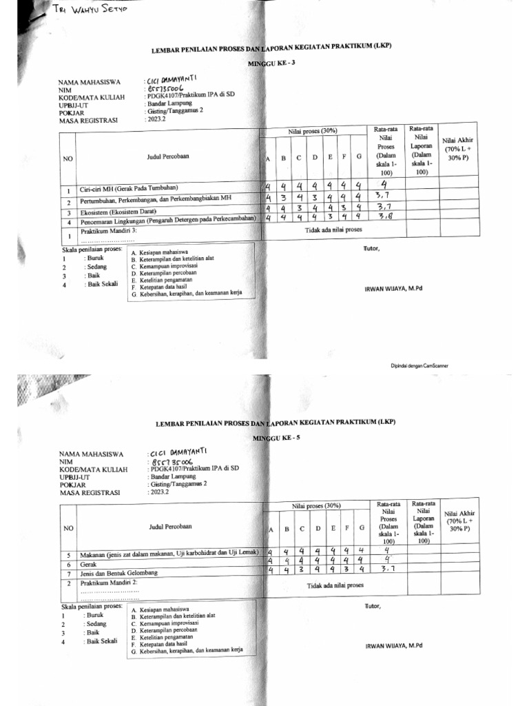 Cici Damayanti 855735006 Kelas 7A | PDF