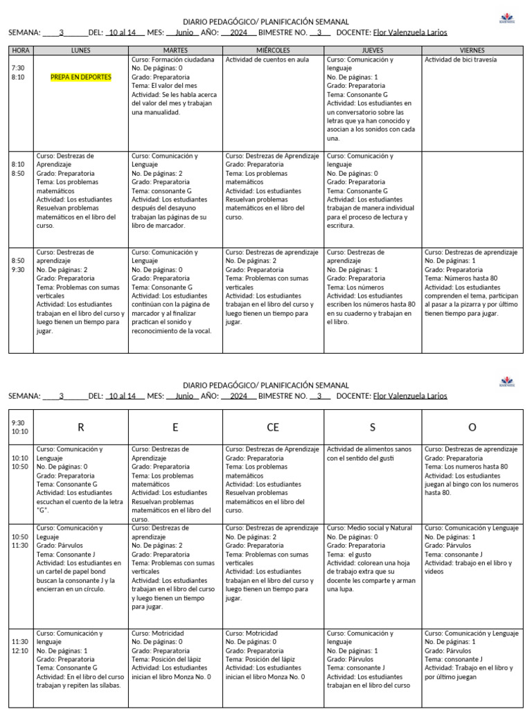 DIARIO PEDAGÓGICO 2da SEM. I BIM | PDF | Ciencia cognitiva | Lingüística