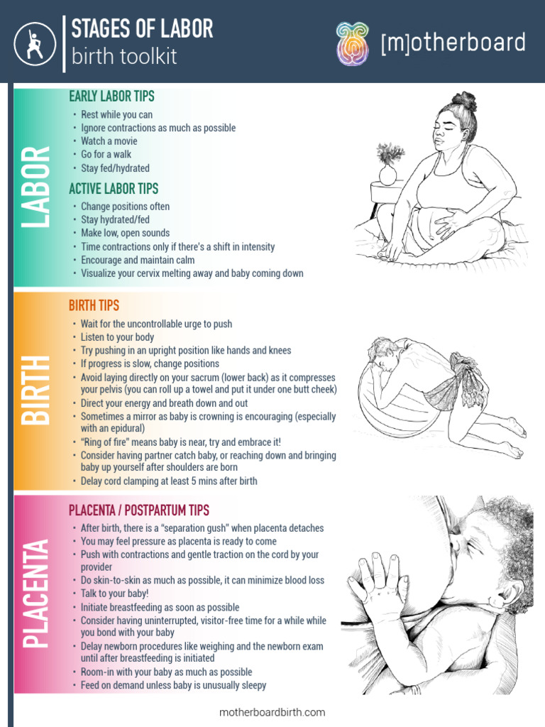 Stages of Labor - Parent Handout (1) 2 | PDF