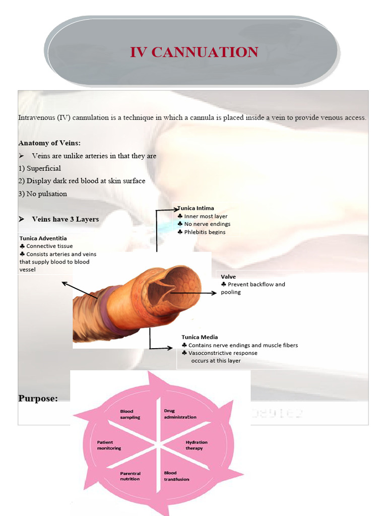 4. IV CANNULATION | PDF | Intravenous Therapy | Vein
