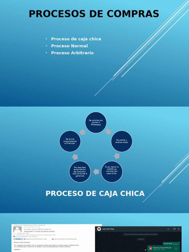 Procesos de Compras | PDF