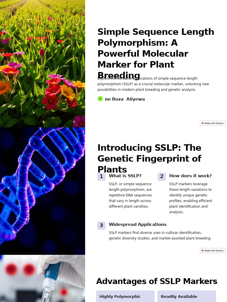 SSLP Markers in Plant Breeding | PDF | Plant Breeding | Dna Sequencing