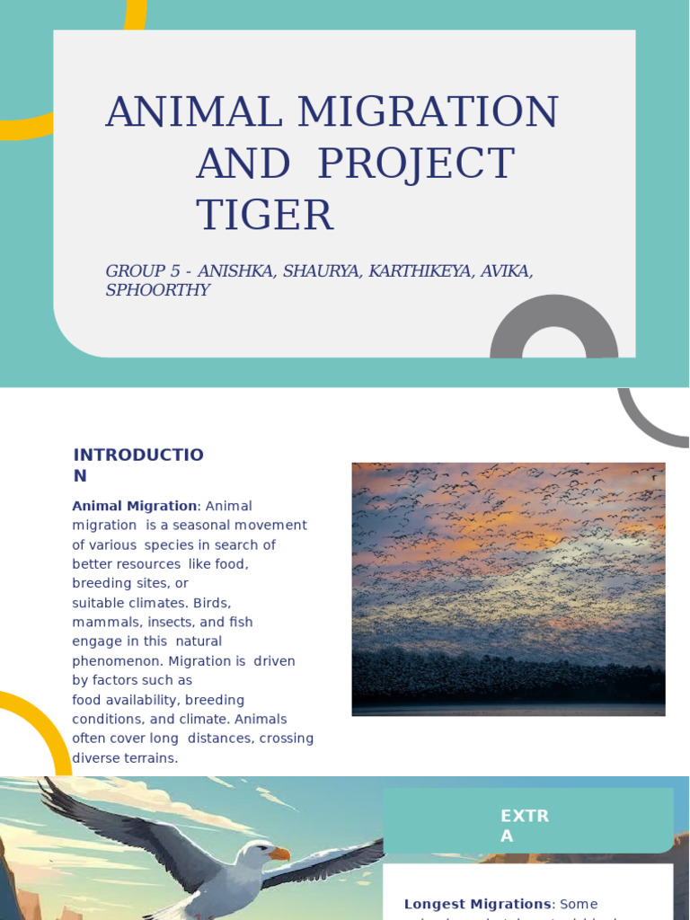 Group-5 Animal Migration and Project Tiger | PDF | Bird Migration ...