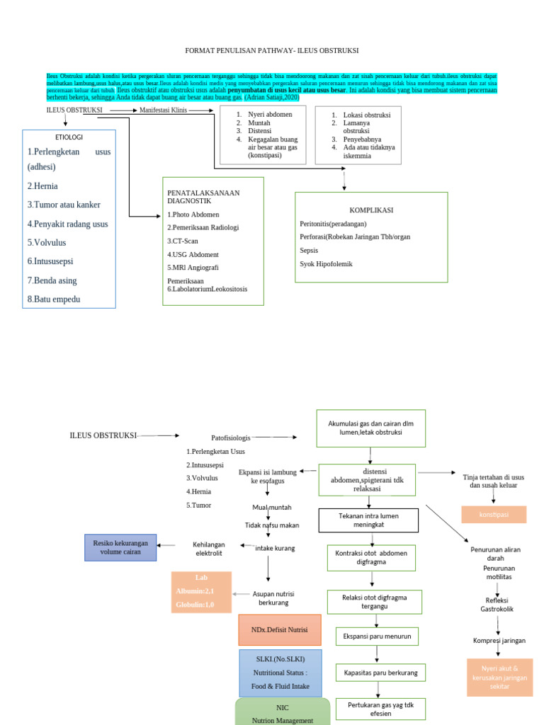 FORMAT PENULISAN PATHWAY sesuai SDKI,SIKI,SLKI | PDF