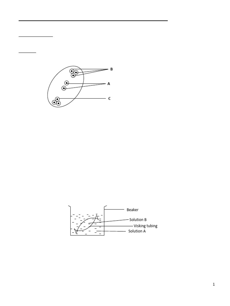 F3 Bio Nov Dec Assignment 1 | PDF | Seed | Germination