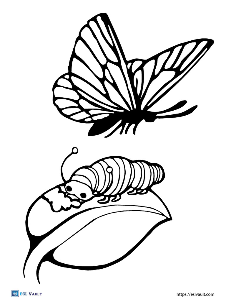 Butterfly With Caterpillar Coloring Page | PDF
