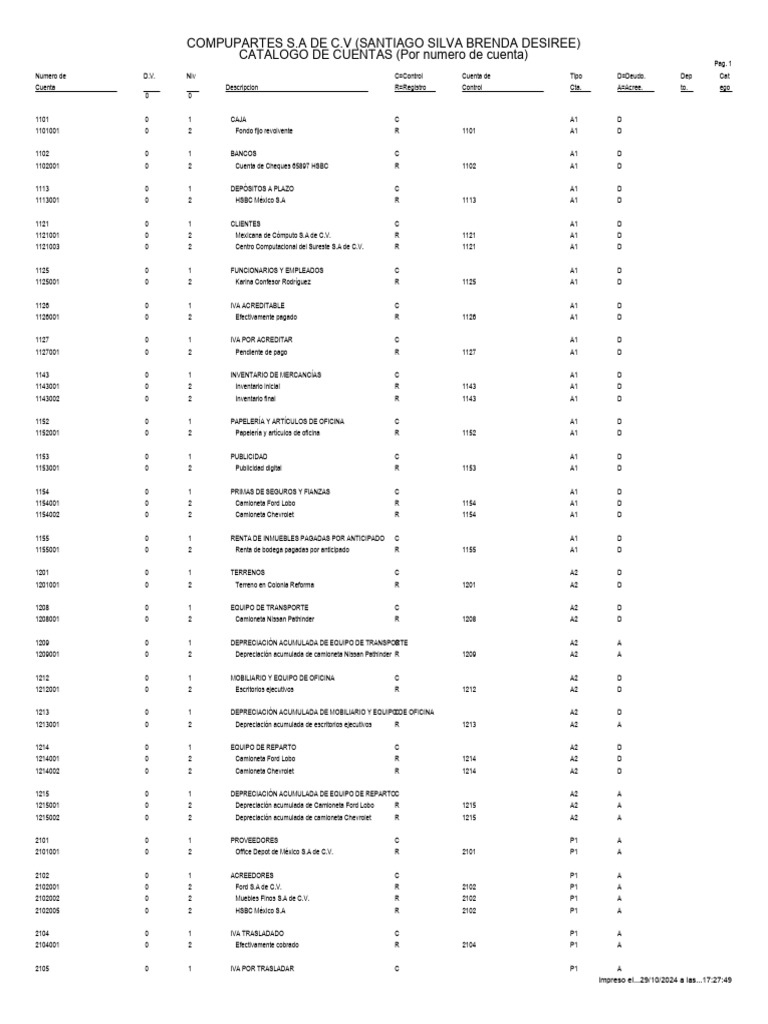 Catlogo de Cuentas 2024 | PDF | Hoja de balance | Contabilidad financiera