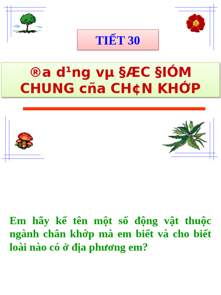 Sinh 7 Tuan 15 Tiet 30bai 29 Dac Diem Chung Va Vai Tro Cua Nganh Chan Khop 2111201721 | PDF