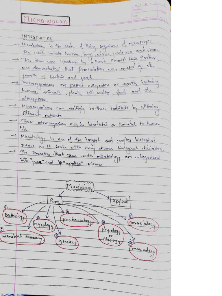 Pharmaceutical Microbiology Important Questions | PDF