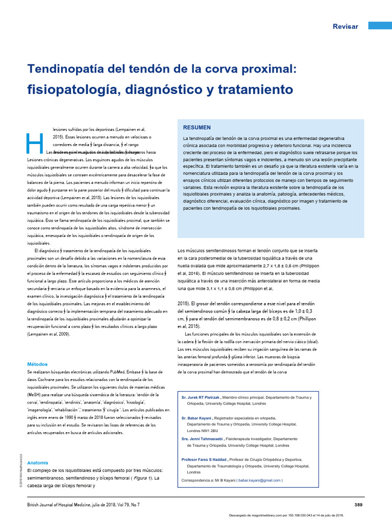Tendinopatía Del Tendón de La Corva Proximal: Fisiopatología ...