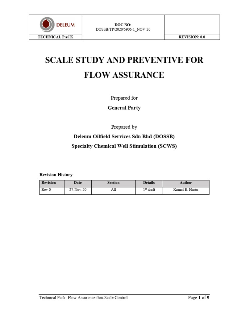Scale Control for Flow Assurance Solutions | PDF | Water | Calcium