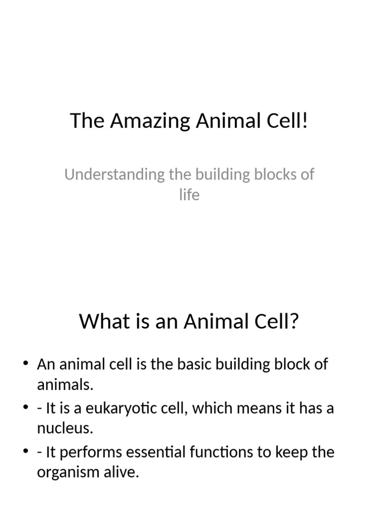 Animal Cell Model Presentation | PDF