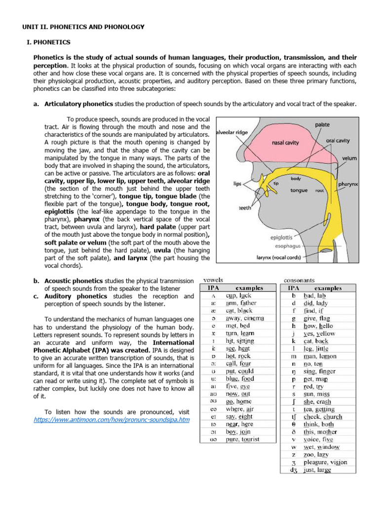 PHONETICS | PDF | Phonetics | Linguistics
