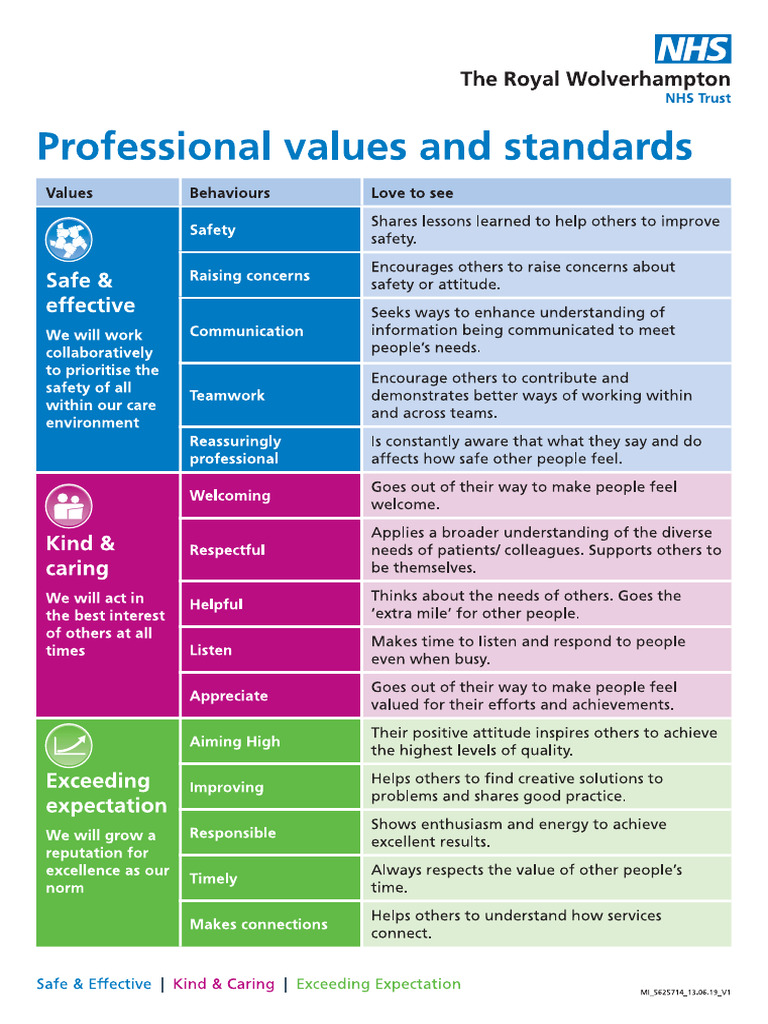 Professional Standards | PDF