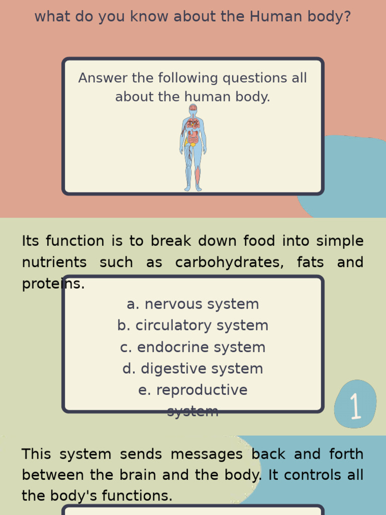 1 The Endocrine System | PDF | Human Body | Endocrine System