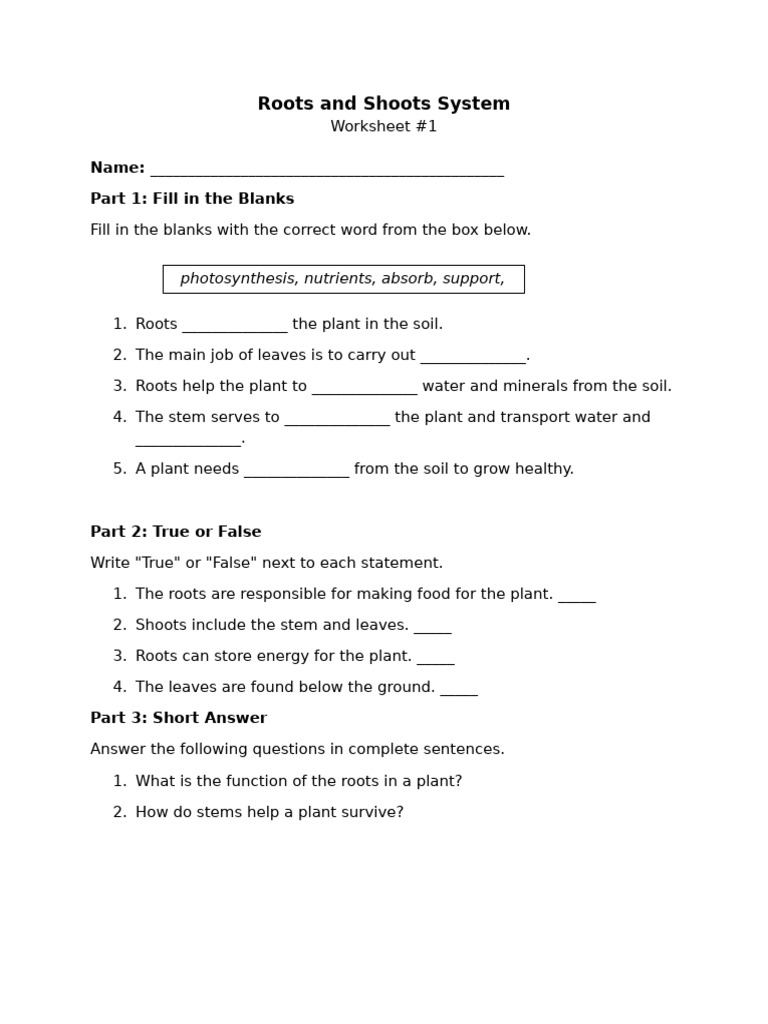 Root and Shoot System Worksheet Grade 4 | PDF