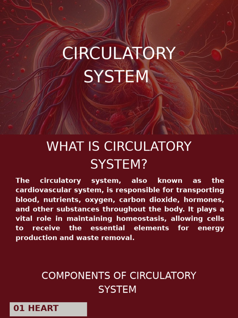 Circulatory System (1) | PDF