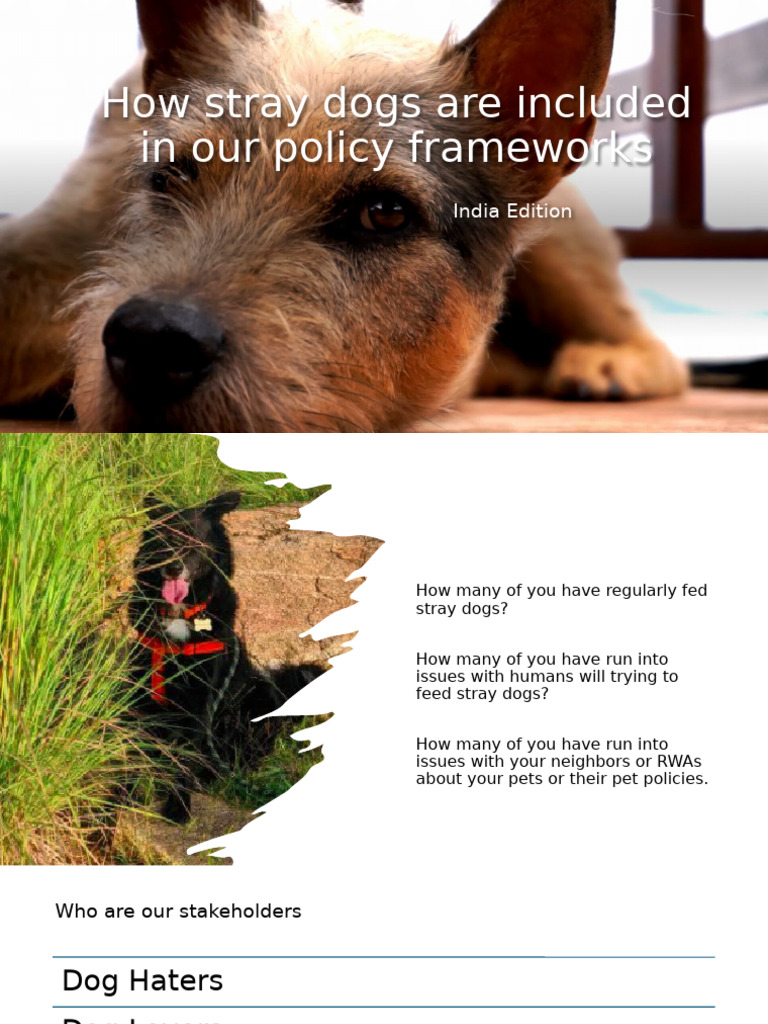 Stray Dogs x Humans | PDF | Violence | Cruelty To Animals