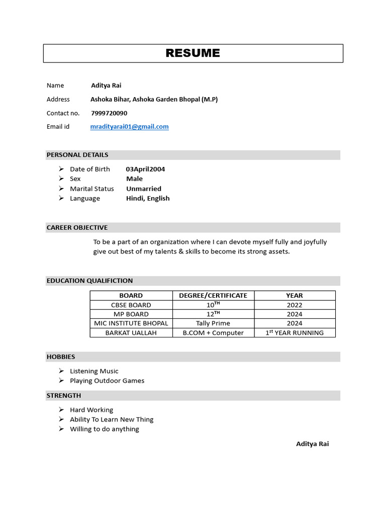 Aditya Rai: Resume Overview | PDF