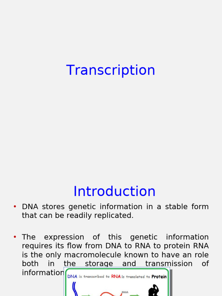 Transcription | PDF | Promoter (Genetics) | Dna