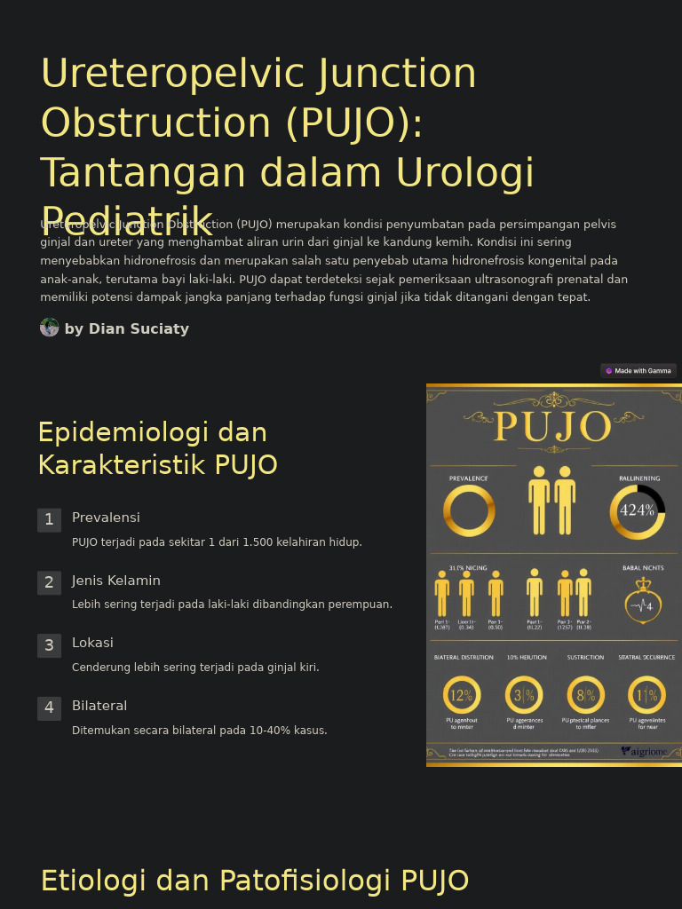 Ureteropelvic-Junction-Obstruction-PUJO-Tantangan-dalam-Urologi ...