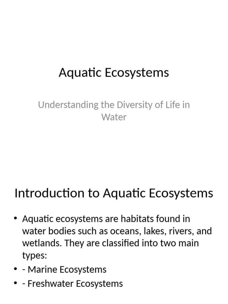 Aquatic Ecosystems Overview Worksheet | PDF