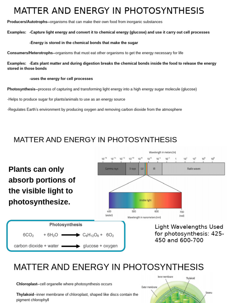 Photosynthesis: Energy and Matter Flow | PDF | Cellular Respiration ...