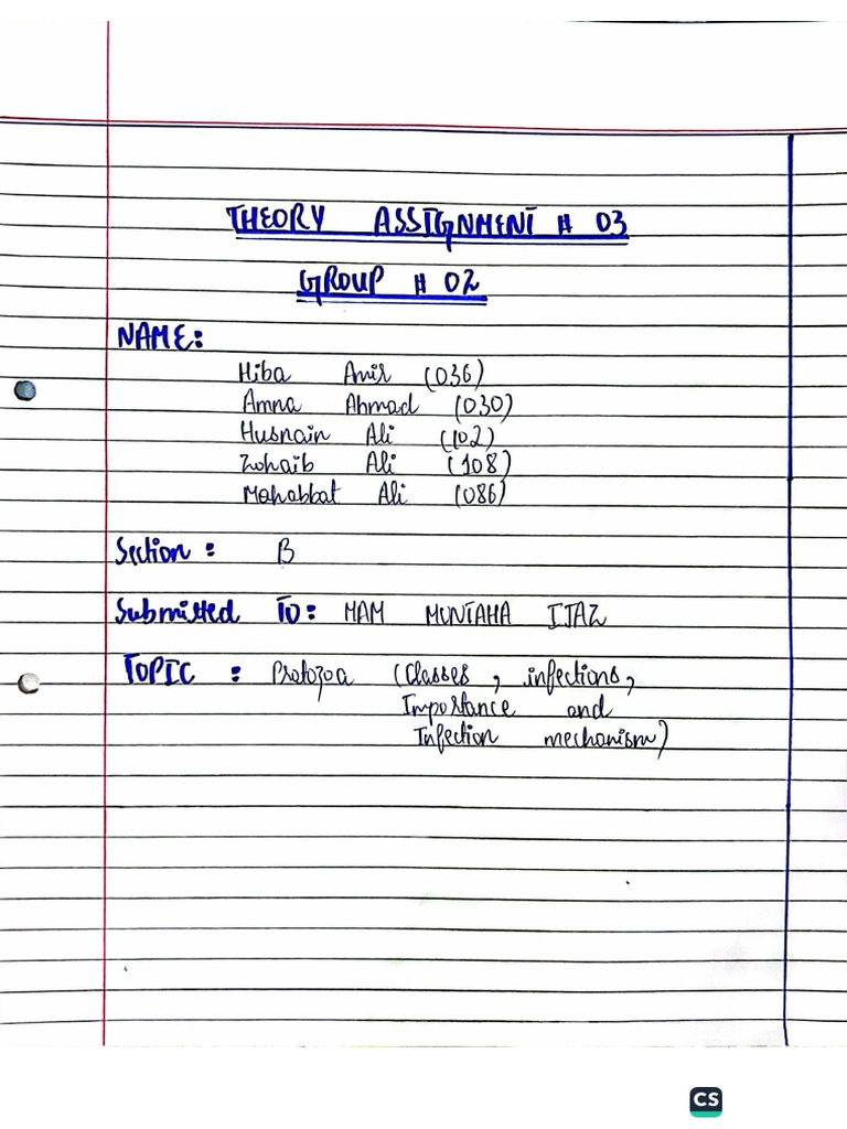 Theory Assign 3 | PDF