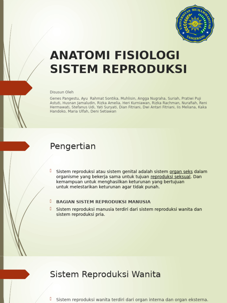 Anatomis dan Fisiologi Sistem Reproduksi | PDF
