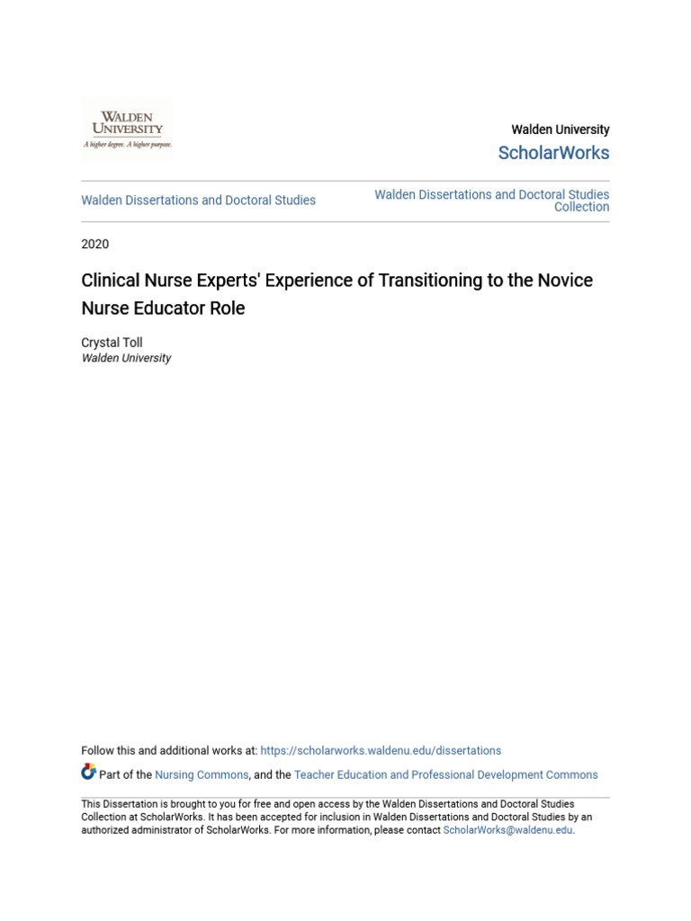 Clinical Nurse Experts Experience of Transitioning To The Novice | PDF ...