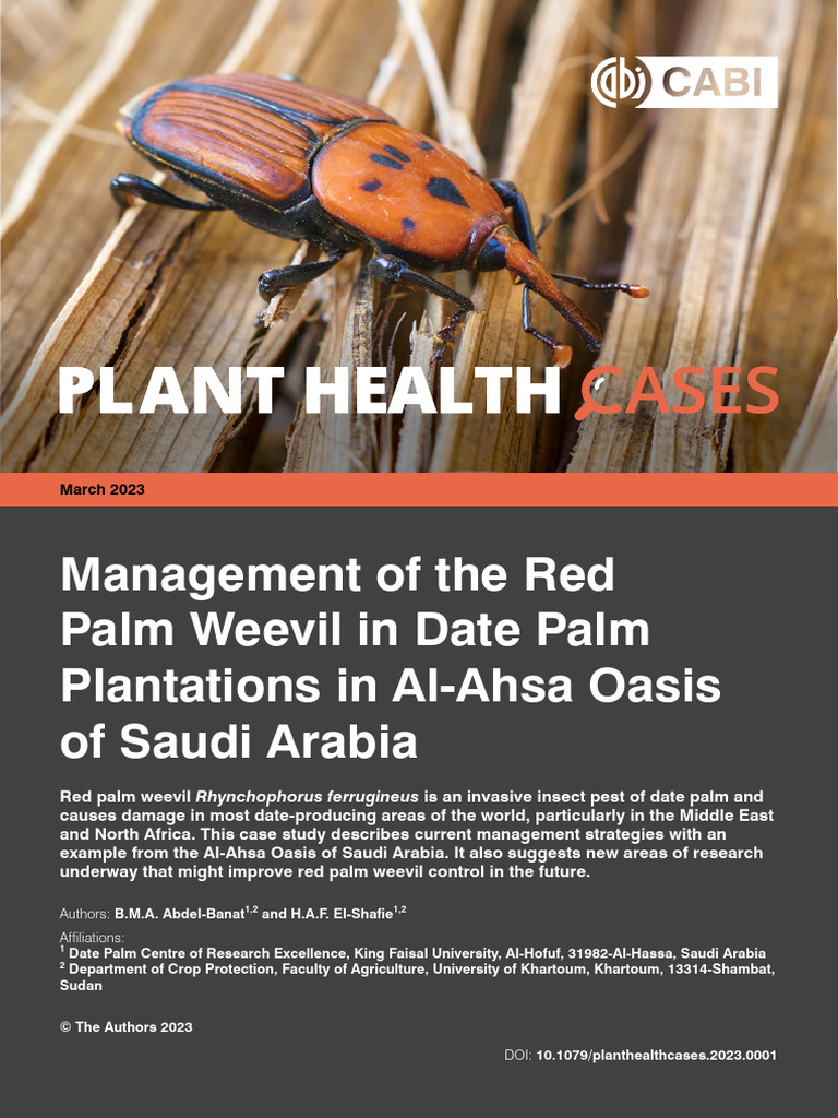 Red Palm Weevil Management in Al-Ahsa | PDF | Pupa
