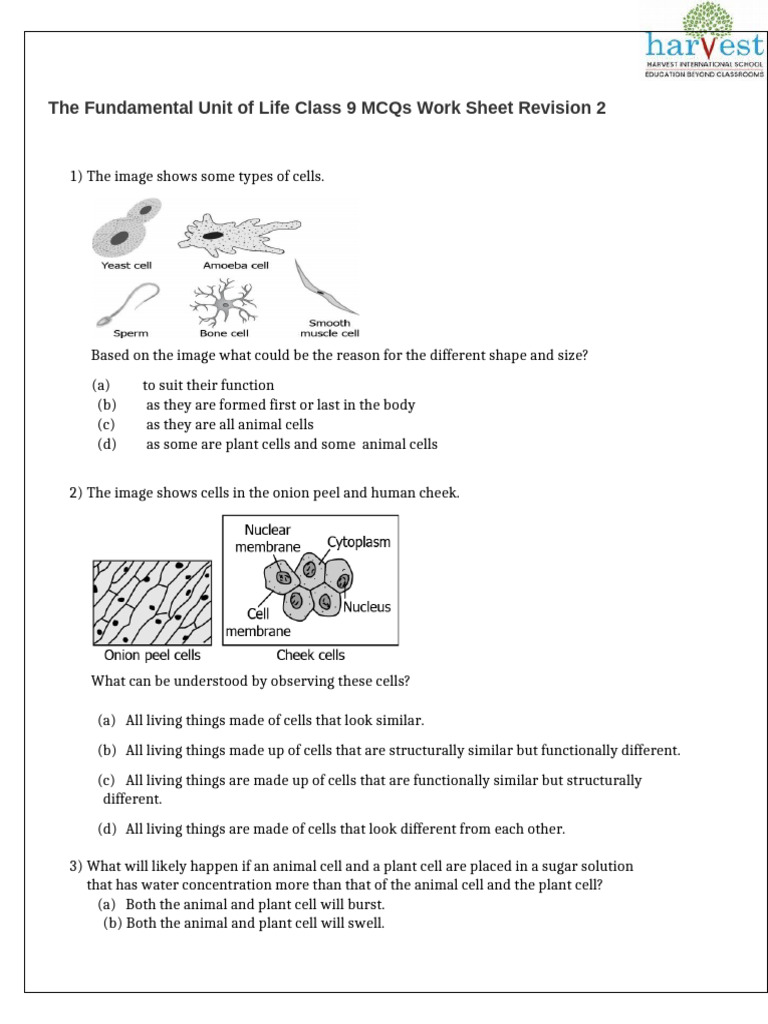 cell mcq ws 2 | PDF | Cell (Biology) | Cytoplasm
