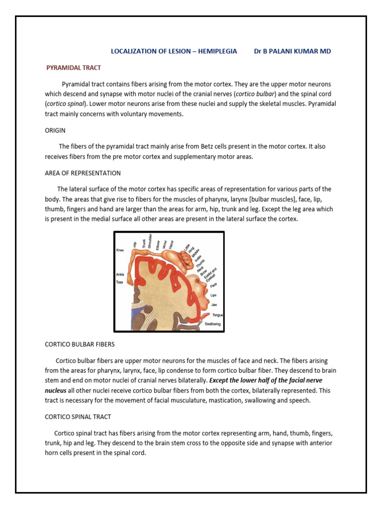 Hemiplegia Localization of Lesion DR PK | PDF | Motor Neuron | Spinal Cord