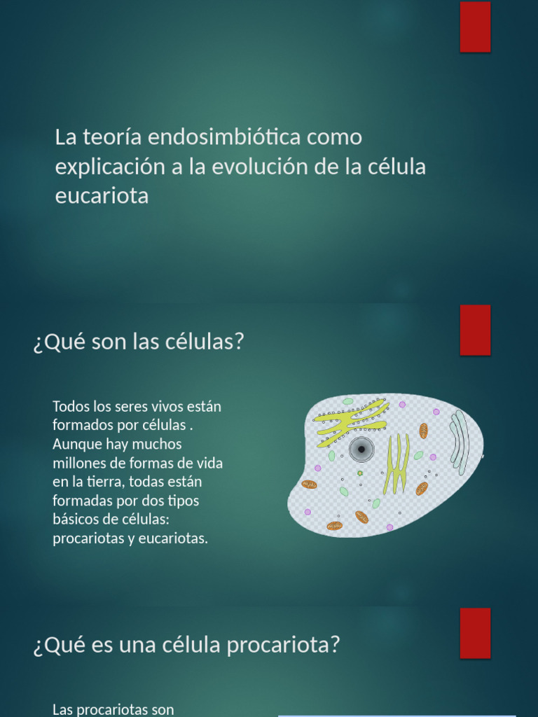 La Teoría Endosimbiótica Como Explicación A La Evolución | PDF